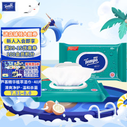 得宝纸品湿巾_Tempo 得宝 湿巾 40片多少钱-什么值得买