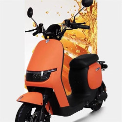 深远电动车_SYUAN 深远 金虎新国标NFC解锁锂电池家用电动车多少钱-什么值得买