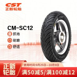 【省32元】正新轮胎轮胎_正新轮胎 CST 100/90-10 56L CM-SC12 TL 龙王全天候半热熔真空胎电动/踏板多少钱-什么值得买