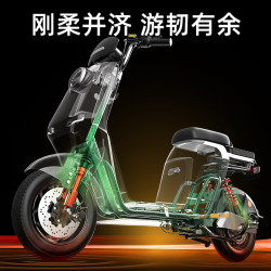 【省700元】深远电动车_SYUAN 深远 T90 48V60A磷酸铁锂 电动自行车多少钱-什么值得买