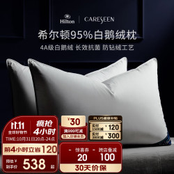 【省100元】羽绒枕头_Careseen 康尔馨 希尔顿酒店羽绒枕头 95%抗菌白鹅绒枕芯 单只装 74*48cm软枕多少钱-什么值得买