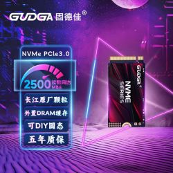 固德佳固态硬盘_GUDGA 固德佳 M.2 NVMe 固态硬盘 256GB PCle3.0多少钱-什么值得买