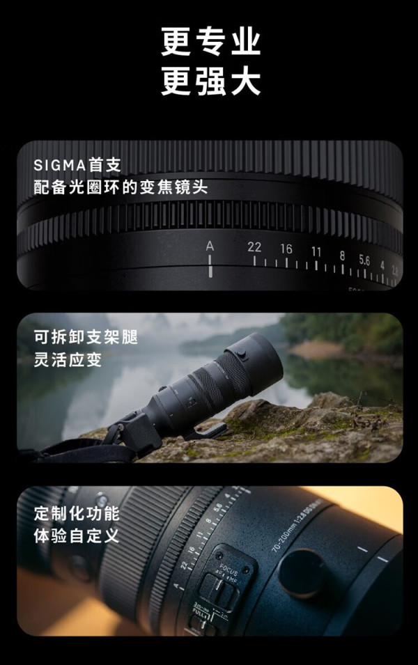 适马镜头_SIGMA 适马 70-200mm F2.8 DG DN OS Sports 全画幅无反变焦镜头多少钱-什么值得买