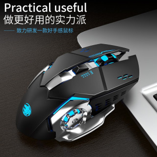 EWEADN 前行者 G306电竞游戏鼠标 无线蓝牙双模鼠标【报价 价格 评测 怎么样】 -什么值得买