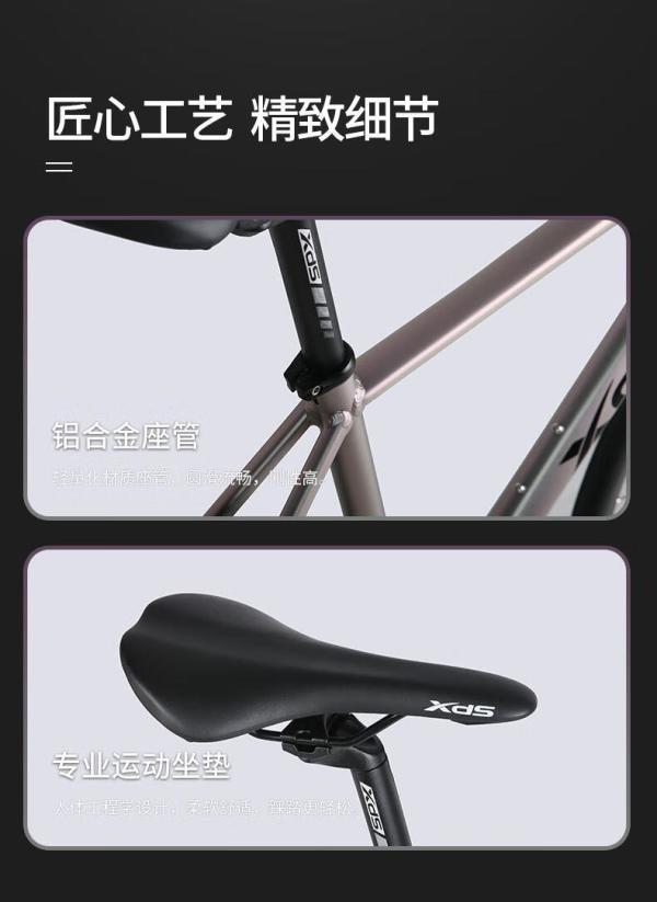 【省680元】喜德盛骑行运动_XDS 喜德盛 公路自行车RT280 14速禧玛诺变速 机械碟刹 太空灰/黑 700C多少钱-什么值得买