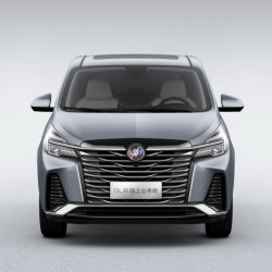别克MPV_BUICK 别克 GL8陆上公务舱652T舒适型 水星银多少钱-什么值得买