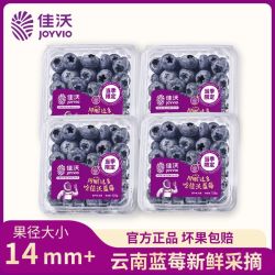 佳沃即食食品_JOYVIO 佳沃 云南蓝莓当季限定14mm+当季新鲜蓝莓125g量贩装4盒起多少钱-什么值得买