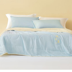 【省100元】百丽丝被子褥子_BLISS 百丽丝 夏凉空调被 升级A类海蓝色 200x230cm多少钱-什么值得买