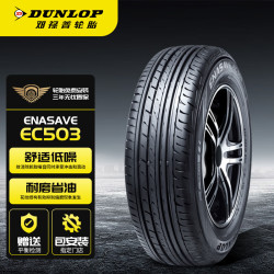 邓禄普轮胎_DUNLOP 邓禄普 汽车轮胎 205/55R16 91V ENASAVE EC503多少钱-什么值得买