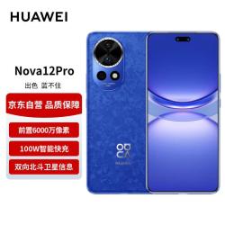 华为手机_HUAWEI 华为 nova 12 Pro前置6000万人像追焦双摄256GB 12号色 nova系列多少钱-什么值得买