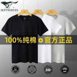 七匹狼内衣_SEPTWOLVES 七匹狼 恤男士纯棉夏季青年V领半袖100%新疆棉男全棉透气背心8844多少钱-什么值得买