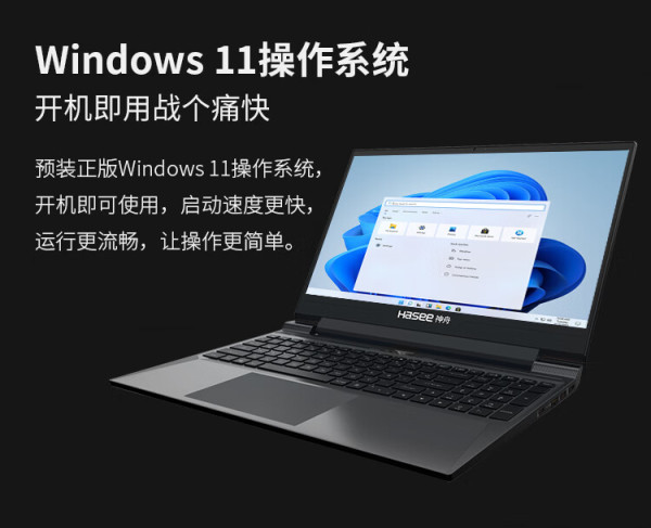 Hasee 神舟 战神S8 D42654FH 十二代酷睿版 15.6英寸 游戏本 黑色（酷睿i5-12450H、RTX 4060 8G ...