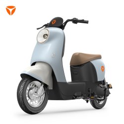 雅迪电动车_Yadea 雅迪 电动车M10长续航电动自行车 颜色到店选购多少钱-什么值得买