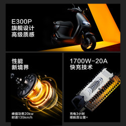 【省1000元】九号（Ninebot）电动车_E300P多少钱-什么值得买