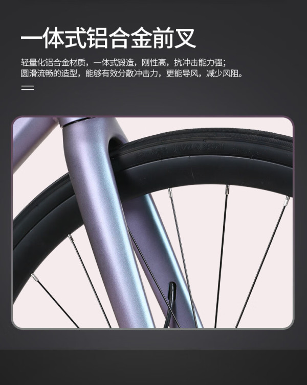 XDS 喜德盛 公路自行车RT280 14速禧玛诺变速 机械碟刹 太空灰/黑 700C*520【报价 价格 评测 怎么样】 -什么值得买