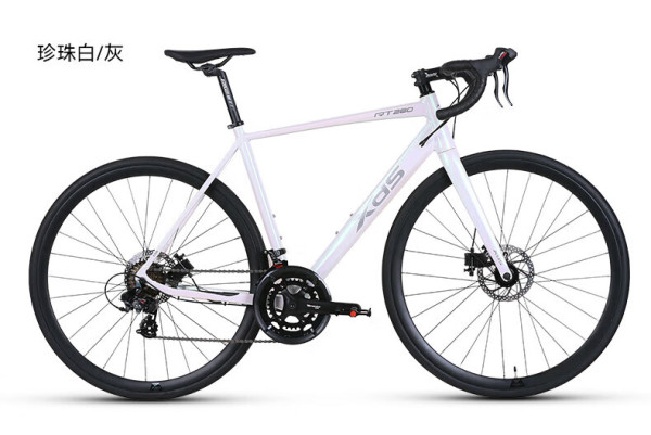 XDS 喜德盛 RT280爬坡公路自行车【报价 价格 评测 怎么样】 -什么值得买
