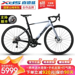 【省920元】喜德盛骑行运动_XDS 喜德盛 24款AD500碳纤维前叉24速电子变速油压碟刹桶轴公路自行车成人 鸽子灰/黑|电多少钱-什么值得买