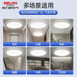 德力西小夜灯_DELIXI 德力西 led吸顶灯楼梯灯过道走廊楼道灯光线人体感应雷达光控灯多少钱-什么值得买