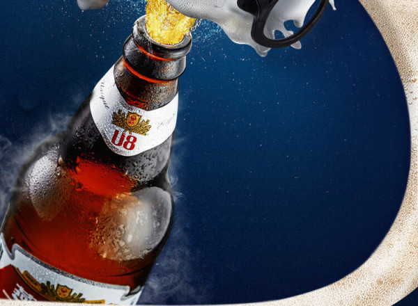 YANJING BEER 燕京啤酒 U8 优爽小度特酿啤酒 500ml*12瓶 整箱装【报价 价格 评测 怎么样】 -什么值得买