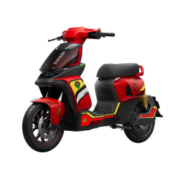 九号电动车_Ninebot 九号 电动车MMAX2 110P EVA二号机 到门店选颜色多少钱-什么值得买