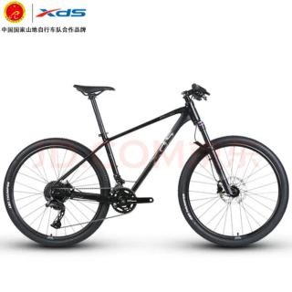 XDS/喜德盛 传奇 500 plus 【报价 价格 评测 怎么样】 -什么值得买