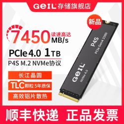 金邦固态硬盘_GeIL 金邦 2TB SSD固态硬盘 M.2接口(PCIe 4.0 x4)NVMe SSD游戏高性能版高速7450MB/S P4S系列多少钱-什么值得买