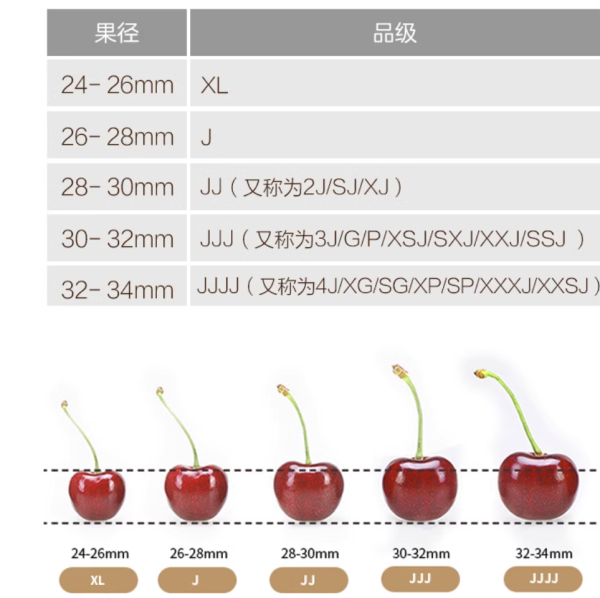 【省40.44元】车厘子/樱桃_智利进口车厘子大樱桃 J级 2.5kg 果径约26-28mm多少钱-什么值得买