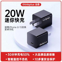 thinkplus充电器_thinkplus ThinkPad 思考本 thinkplus 口红电源适配器 Type-C 氮化镓20W多少钱-什么值得买