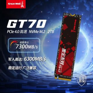 Great Wall 长城 GT70 2TB SSD固态硬盘M.2 支持PS5 NVMe协议【报价 价格 评测 怎么样】 -什么值得买