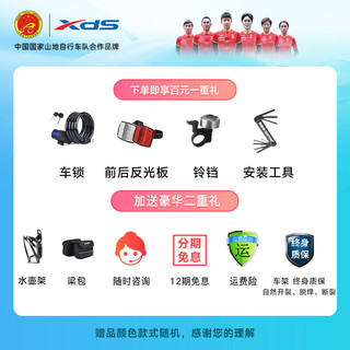 喜德盛（xds）rs450喜德盛rs450pro公路车喜德盛公路车公路自行车公路车自行车 RS450 铝轮版 环青海湖纪念版 ...
