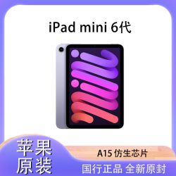 苹果iPad_苹果 Apple iPad mini 6代 A15仿生芯片 无线局域网版 平板电脑 64G多少钱-什么值得买